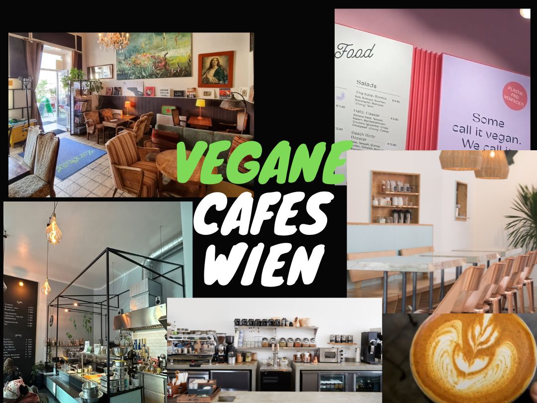 Vegane Café in Wien - Diese 9 musst du kennen!