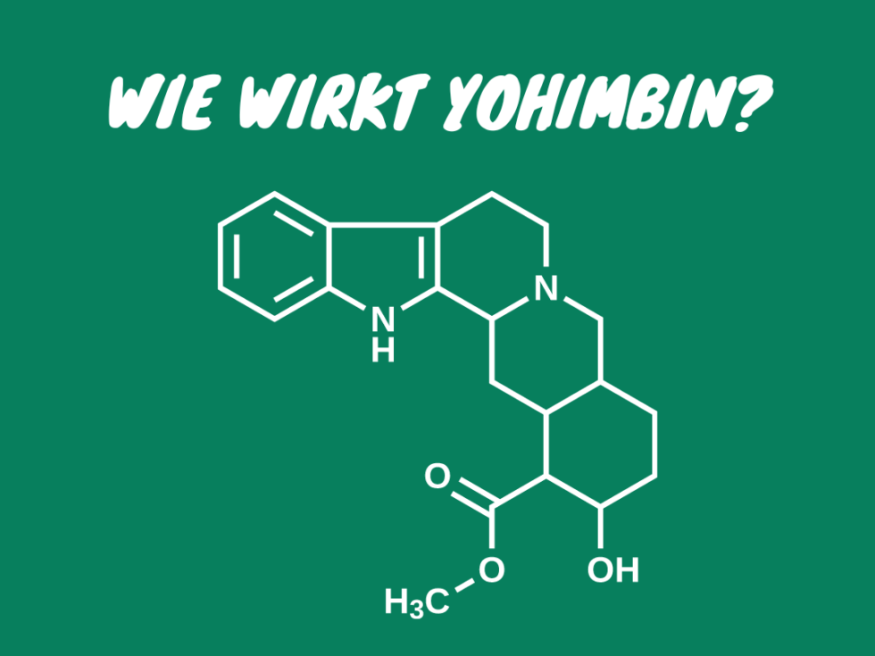 Yohimbin - Wirkung laut 10+ Studien + Nebenwirkung